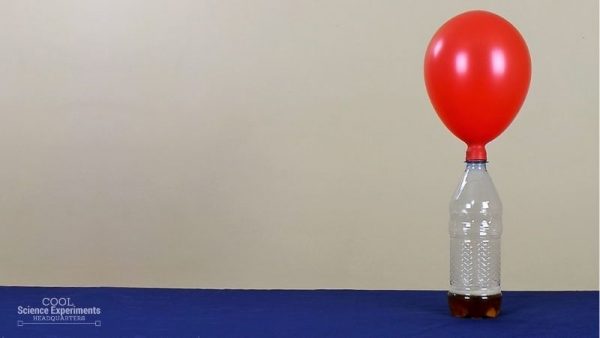 Balloon Blow-up Science Experiment