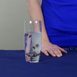 Dancing Raisins Science Experiment: Simple Instructions & Video Tutorial
