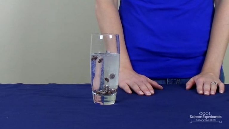 Dancing Raisins Science Experiment: Simple Instructions & Video Tutorial