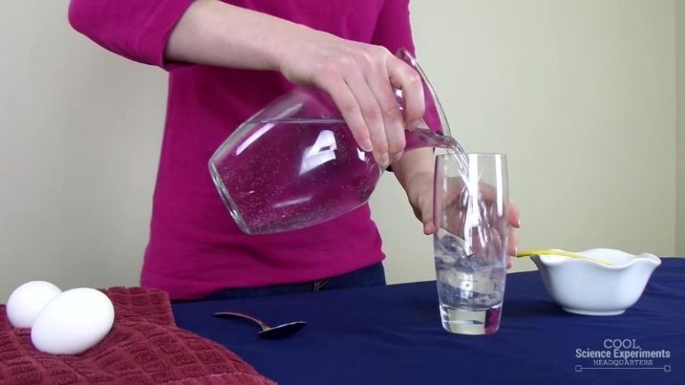 Floating Egg Science Experiment - Step (1)