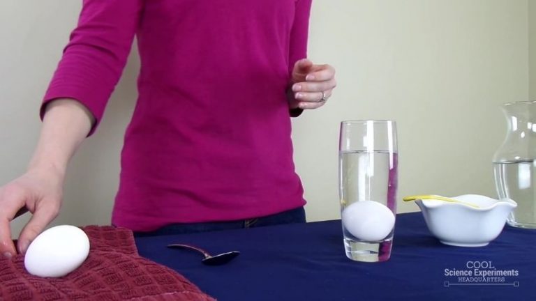 Floating Egg Science Experiment