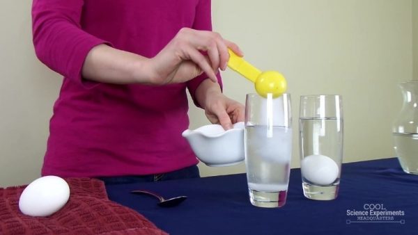 Floating Egg Science Experiment