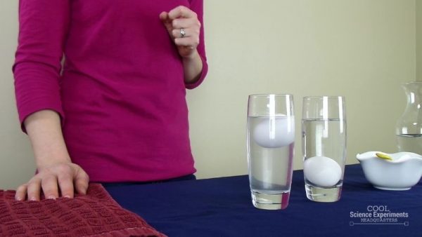 Floating Egg Science Experiment