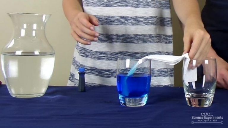 Walking Water Science Experiment