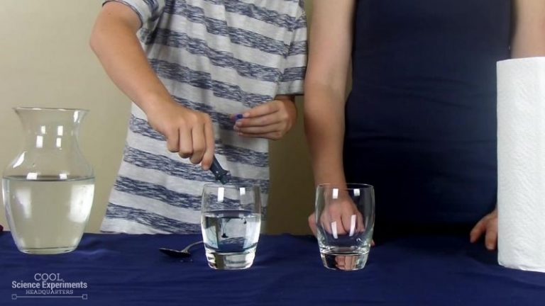 Walking Water Science Experiment