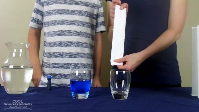 Walking Water Science Experiment