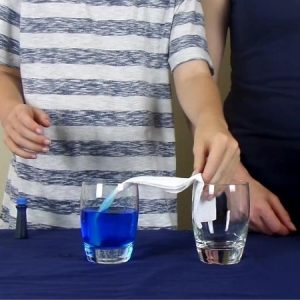 Walking Water Science Experiment