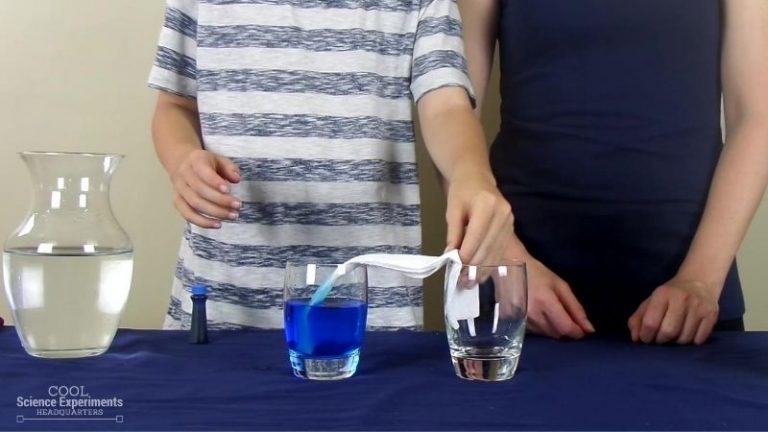 Walking Water Science Experiment