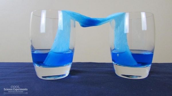 Walking Water Science Experiment