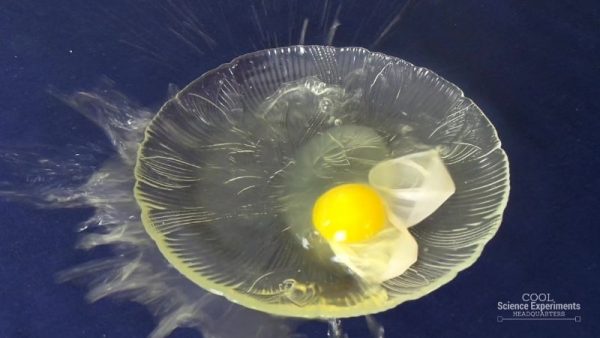 Egg in Vinegar Science Experiment - How to Make a Bouncy Egg