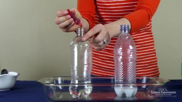 Elephant Toothpaste Science Experiment