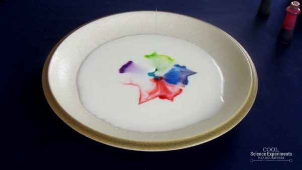 Magic Milk Science Experiment - Amazing Explosion of Color!