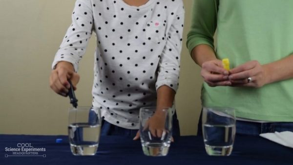 Color Changing Walking Water Experiment