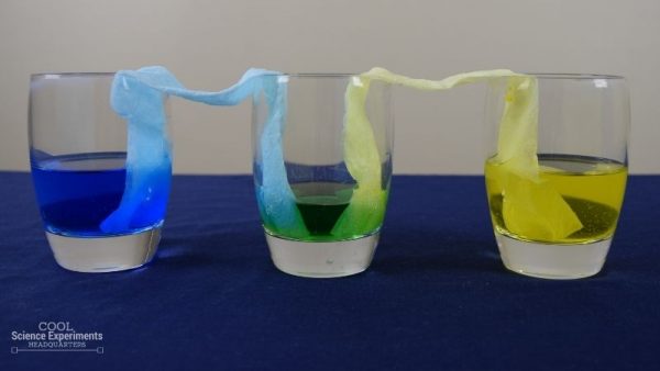 Color Changing Walking Water Experiment