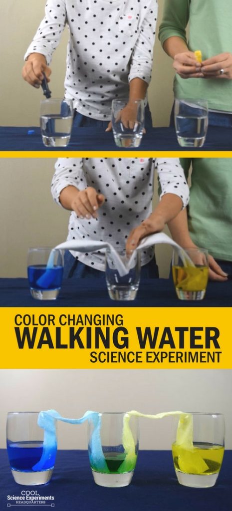 Color Changing Walking Water Experiment
