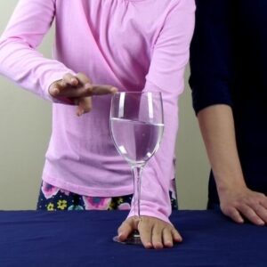How to Make a Wine Glass Sing Science Experiment