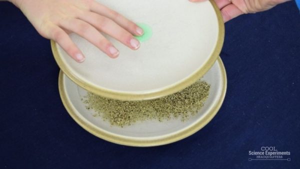 Make Pepper Move Science Experiment