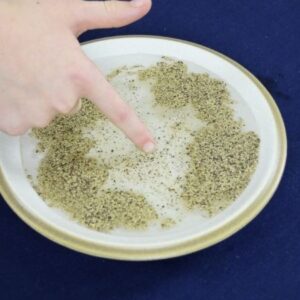 Make Pepper Move Science Experiment