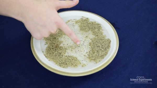 Make Pepper Move Science Experiment