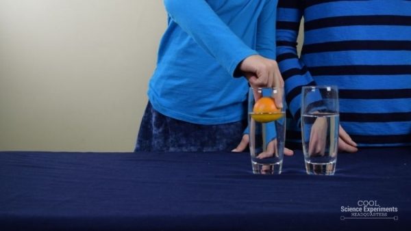 Why Does the Heavier Orange Float Science Experiment