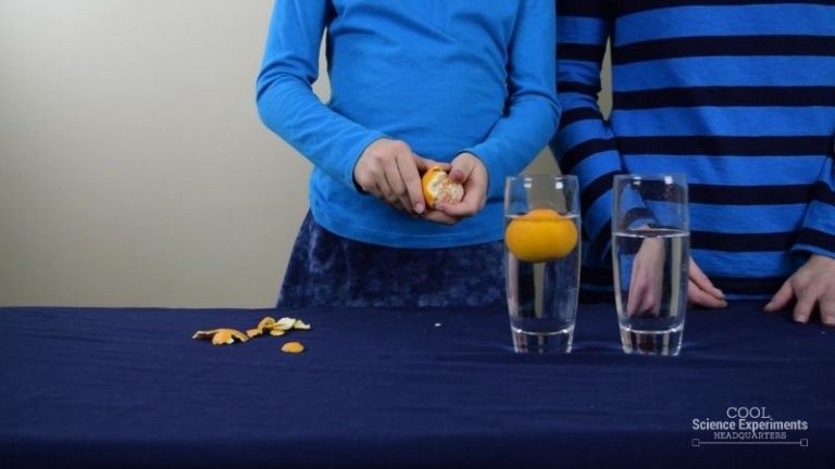 Why Does the Heavier Orange Float Science Experiment