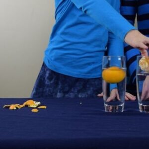 Why Does the Heavier Orange Float Science Experiment