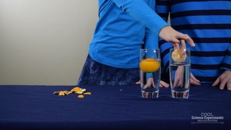 Why Does the Heavier Orange Float Science Experiment