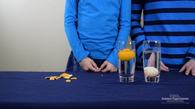 Why Does the Heavier Orange Float Science Experiment