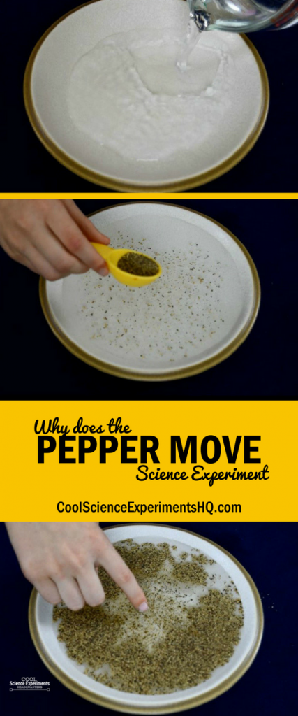 Make Pepper Move Science Experiment