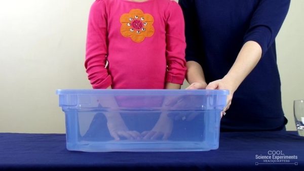 Keep a Paper Towel Dry Under Water Science Experiment