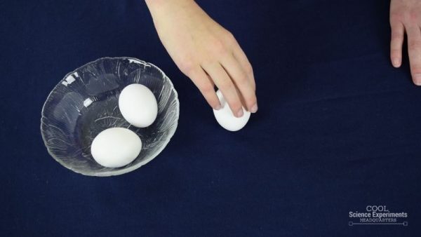 Is the Egg Hard Boiled or Raw Science Experiment