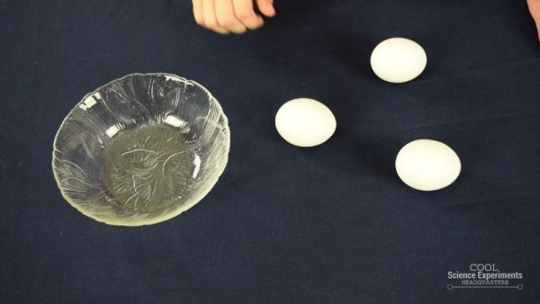 Is the Egg Hard Boiled or Raw Science Experiment
