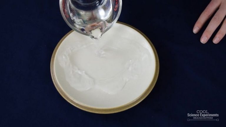 Floating Needle Compass Science Experiment