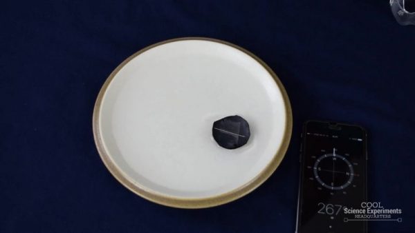 Floating Needle Compass Science Experiment