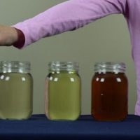 Viscosity of Liquids Science Experiment