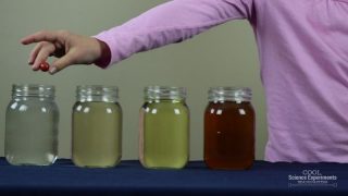 Viscosity of Liquids Science Experiment