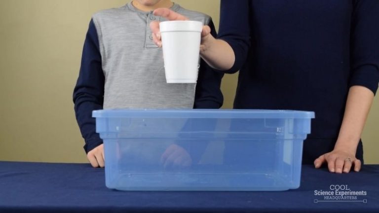 Gravity: Will the Water Leak Out Science Experiment