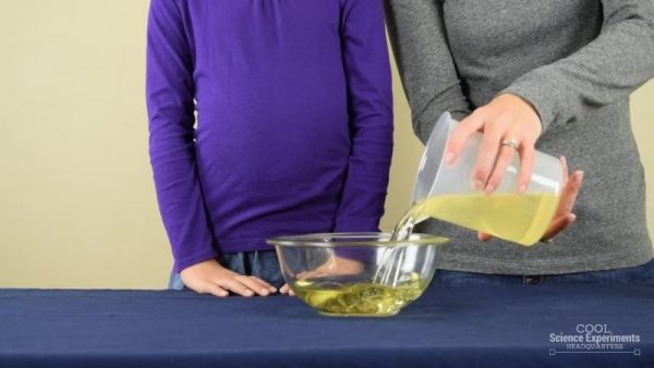Convection Science Experiment - How Heat Moves through Liquid