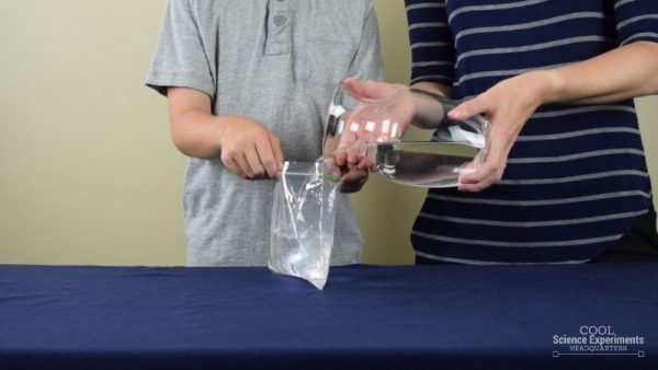 Why Doesn't the Water Leak?