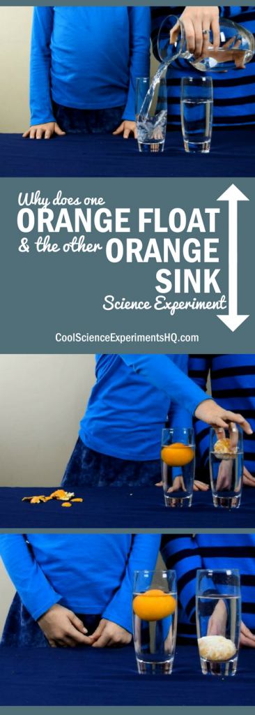 Why Does the Heavier Orange Float Science Experiment
