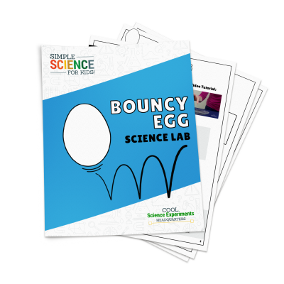 Egg in Vinegar Science Experiment - How to Make a Bouncy Egg