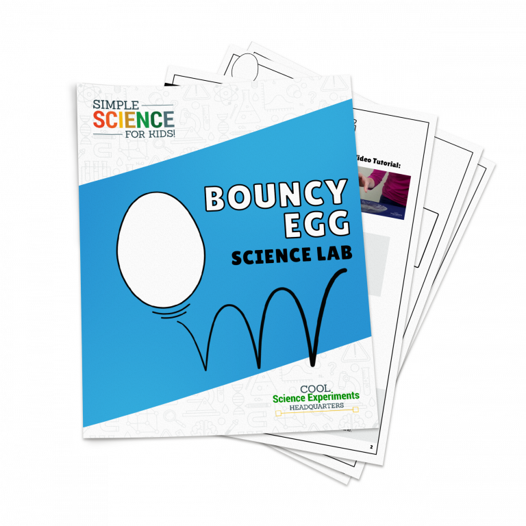 Egg in Vinegar Science Experiment - How to Make a Bouncy Egg