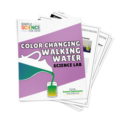Color Changing Walking Water Experiment