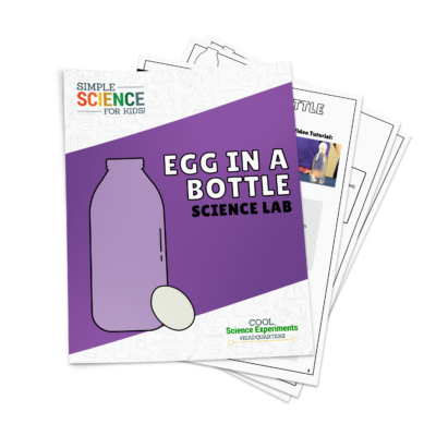 Egg in a Bottle Science Experiment