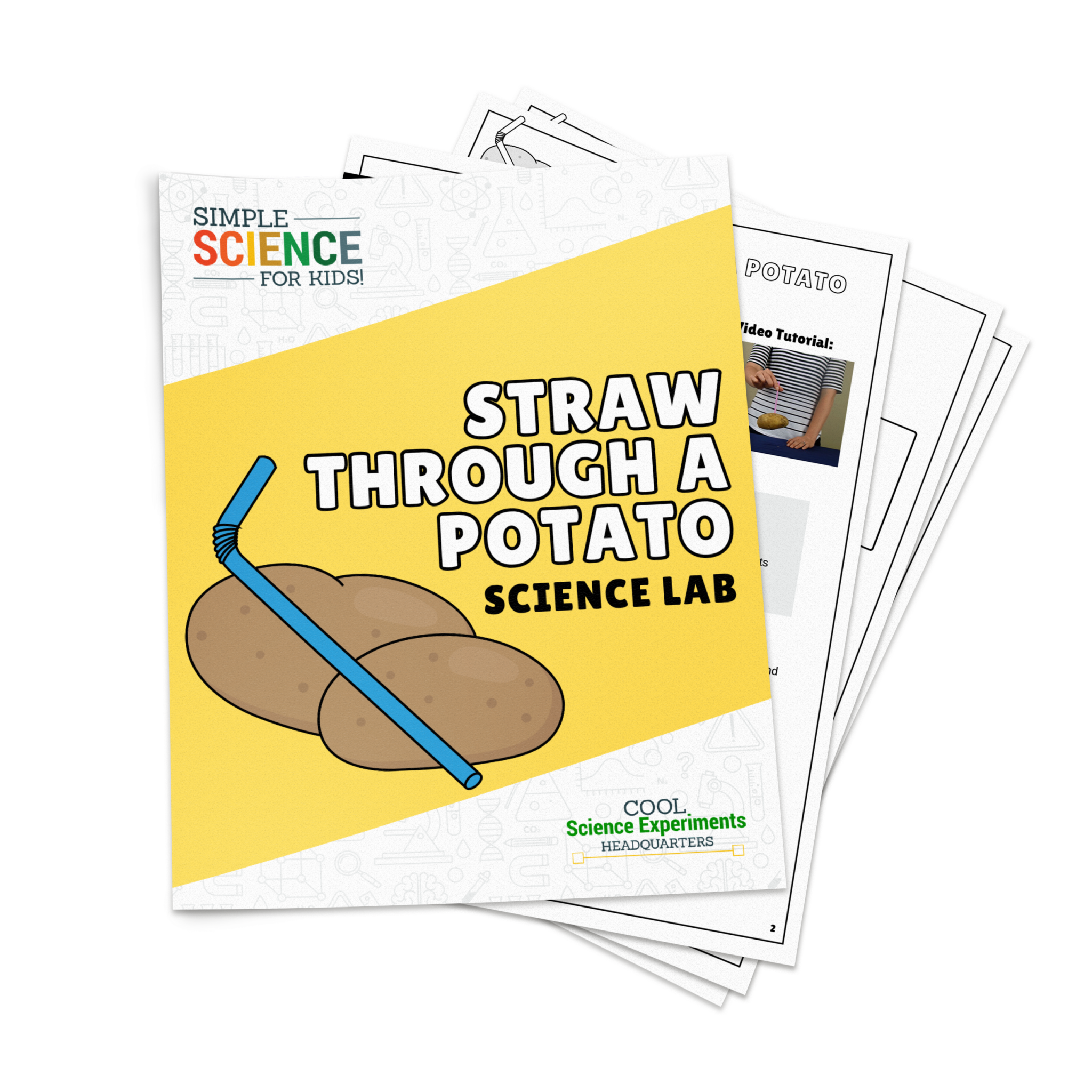 Straw Through a Potato Science Experiment